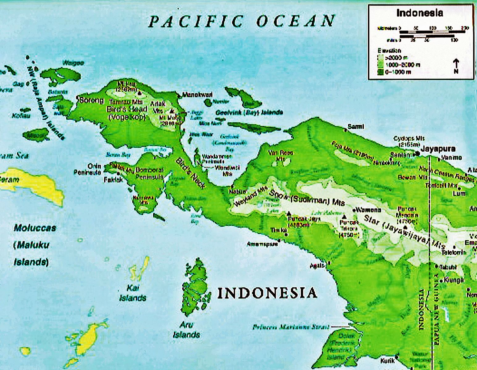 Elite Plus Magazine | West Papua: In Search Of The Birds Of Paradise